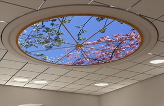 Welcome to Luminux LED Lighting